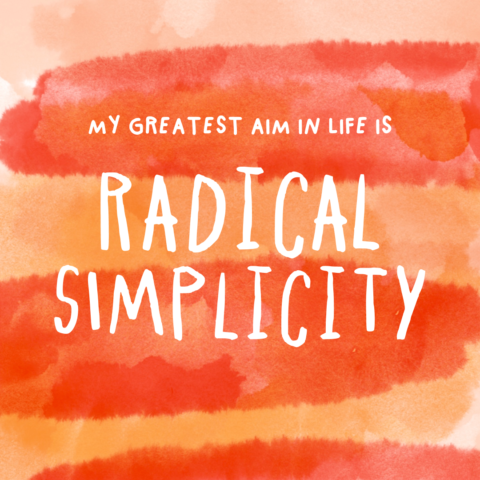 My greatest aim in life is radical simplicity. - SoCurious